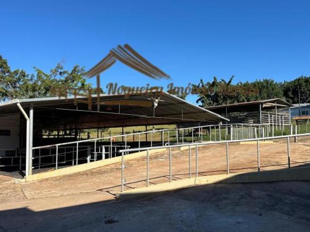 Fazenda com 51 alqueires, estrutura para leiteria