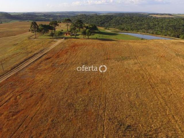 Fazenda com 54 alqueires em Mariental, na Lapa