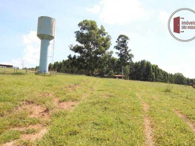 Fazenda com 59 alqueires para Criação de boi