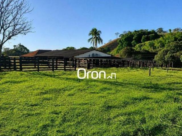 Fazenda com 5 dormitórios à venda, 3500000 m² por R$ 65.000.000,00 Goiânia Goiânia/GO