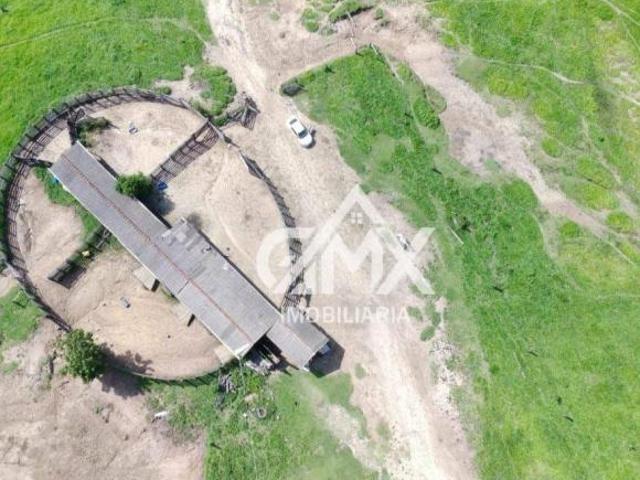 Fazenda com 6 dormitórios à venda,412 alqueires paulista por R$ 30.000.000 Rural Sapopema/PR