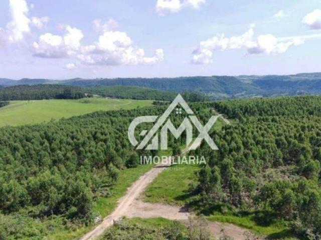 Fazenda com 6 dormitórios à venda,412 alqueires paulista por R$ 30.000.000 Rural Sapopema/PR