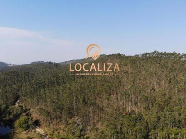 Fazenda com 6 dormitórios à venda, 47 m² por R$ 10.800.000,00 Chácaras Rurais de Guararema Jacar