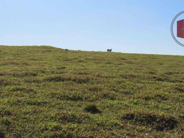 Fazenda com 70 alq Sorocaba e região