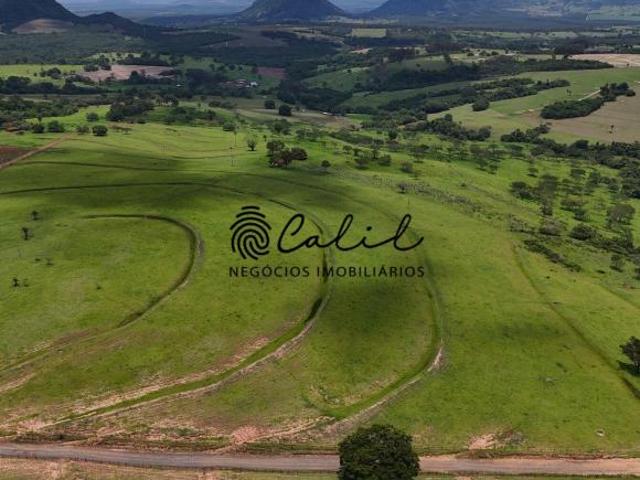 Fazenda com 76,23 ha para agricultura e pecuária à venda por R$ 8.500.000,00 Santo Antônio da Aleg
