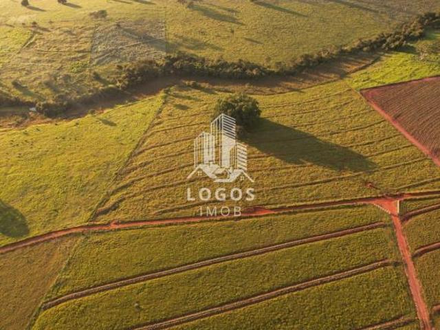 Fazenda com 79 hectares em Santa Vitória Minas Gerais 02