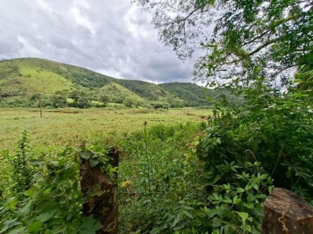 FAZENDA COM 80 ALQUEIRES NO ÁGUA SOCA