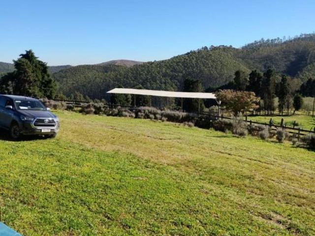 Fazenda com 85 ha Poços de Caldas