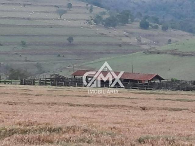 Fazenda com 8 dormitórios à venda, 14278000 m² por R$ 250.000.000,00 Rural Nova Fatima/PR
