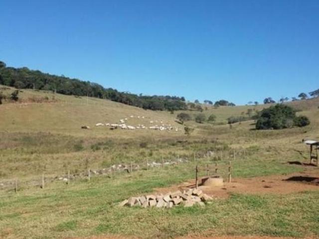 Fazenda com 96,8 Hectares, apta para pecuária de corte em Lagoinha/SP