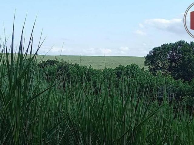 Fazenda com 992.200 na Região de Tiête
