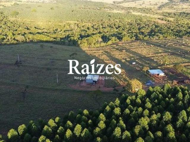Fazenda com 13 alqueires próximo ao Prata MG