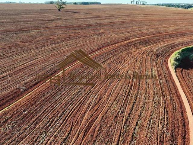 Fazenda com 100 alqueires em Avaré SP
