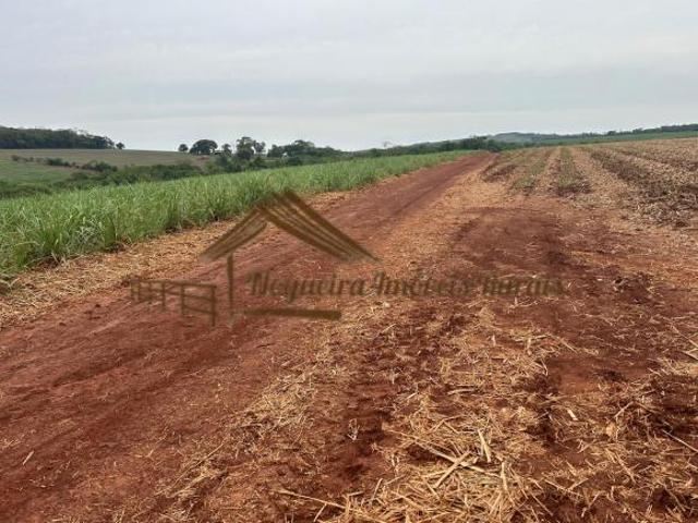 Fazenda com 109 alqueires na região de Avaré SP