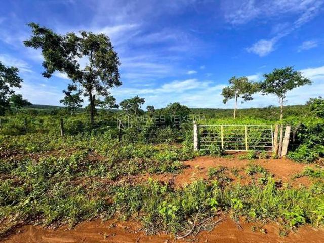 Fazenda com 110 hectares! Riacho nos fundos e Poço Artesiano!