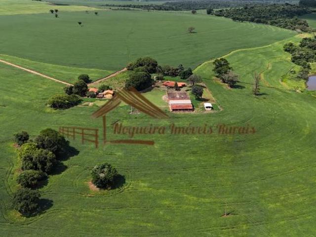 Fazenda com 115 alqueires na região de Ourinhos SP