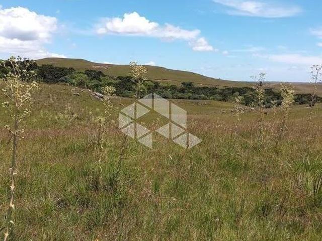Fazenda com 129 ha no Cerrito/Várzea do Cedro em São Francisco de Paula RS
