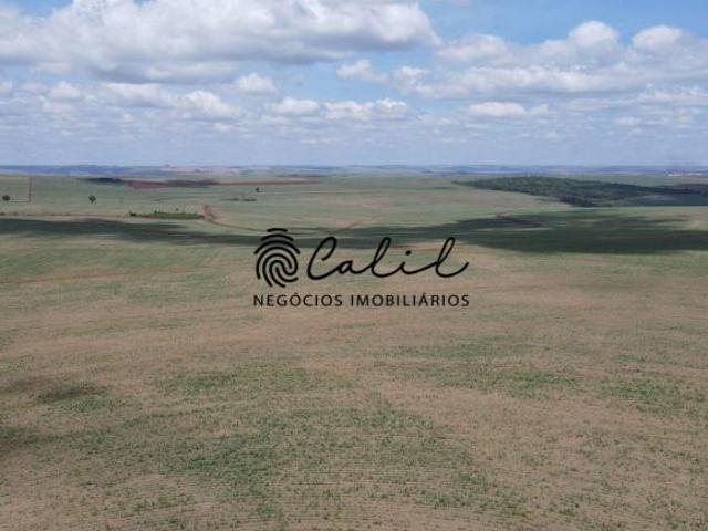 Fazenda com 130,68 hectares à venda por R$ 20.000.000,00 Patrocínio Paulista/SP