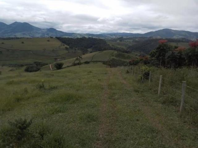 Fazenda com 130,80 hectares e curral completo em Zona Rural, Dom Viçoso/MG
