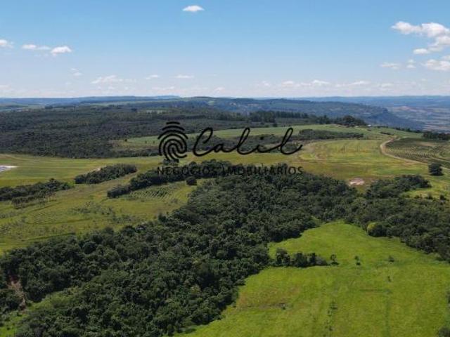 Fazenda com 130 hectares à venda por R$ 9.000.000,00 Cassia dos Coqueiros/SP