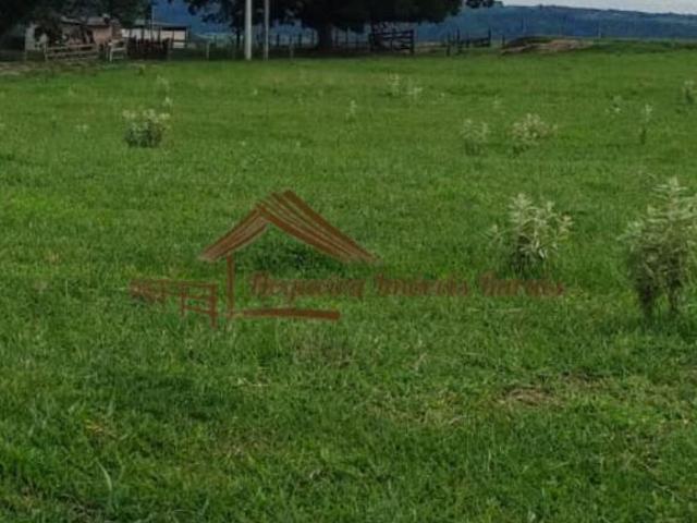 Fazenda com 137 alqueires em Garça SP