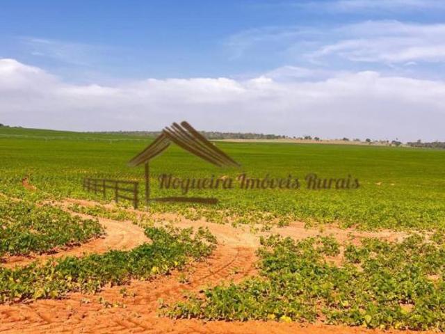 Fazenda com 173 alqueires na região de Avaré