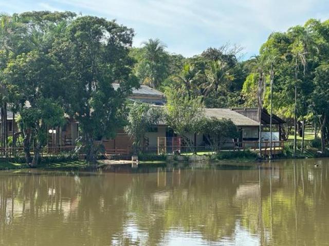 FAZENDA COM 18.8 ALQUEIRES COM 15 HECTARES PLANTADOS MILHO