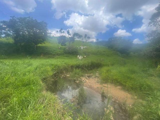 Fazenda com 195,9766 hectares em Unaí/MG – estrutura, água e grande potencial produtivo