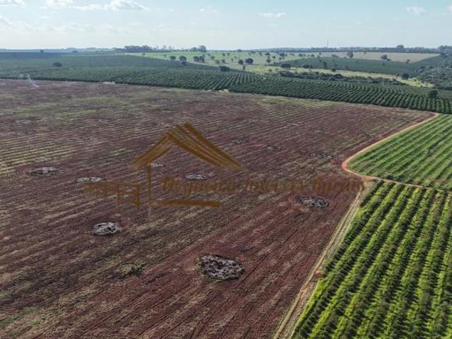 Fazenda com 197 alqueires na região de Avaré SP