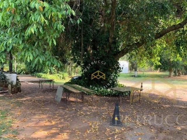Fazenda com 1 dormitório à venda, 3874 m² por R$ 2.500.000,10 Joaquim Egídio Campinas/SP