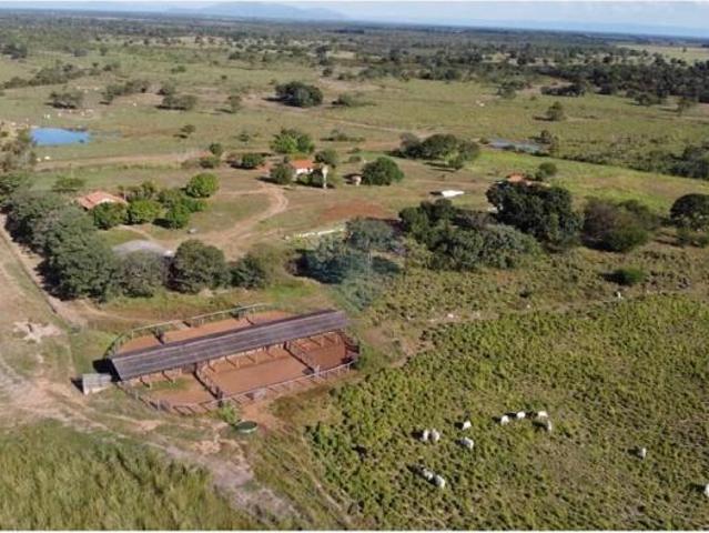Fazenda com 1.033 ha Flores de Goiás 213 alqueires gado