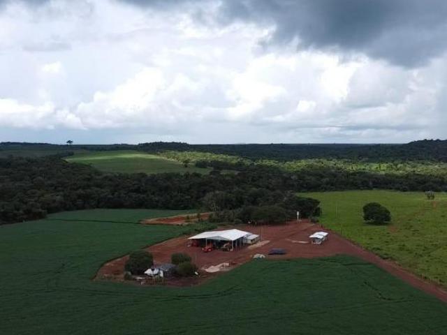 FAZENDA COM 1.350 HÁ EM RPIMAVERA DO LESTE MT