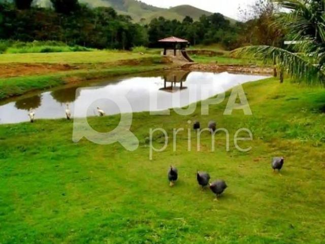 FAZENDA COM 1.333.100,00M² À VENDA EM PIQUETE