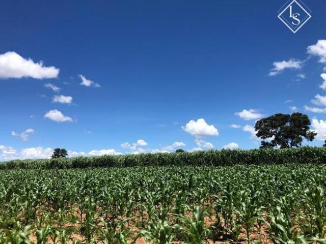 FAZENDA com 1.844 hectares em Santa Fé de Minas MG, pra agropecuária, com represa e córrego, 1100 he