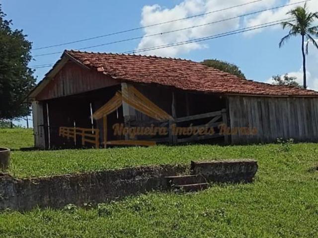 Fazenda com 204 alqueires em Vera Cruz SP