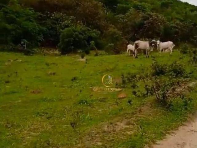 Fazenda com 2200 Hectares a venda em Pedra Azul MG!