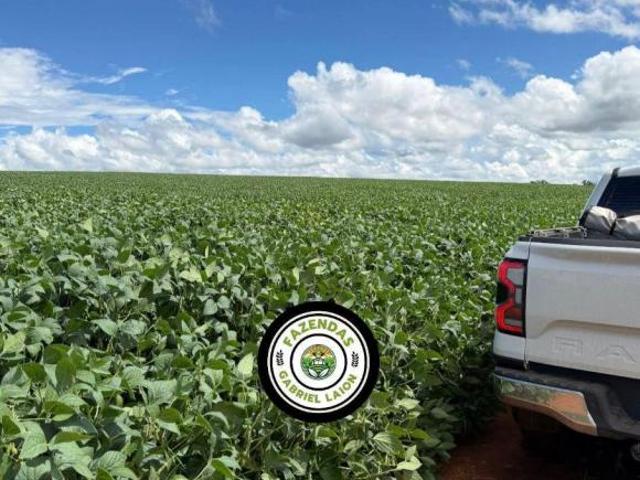 FAZENDA COM 220 HECTARES – AO LADO DA McCain – ARAXÁ/MG