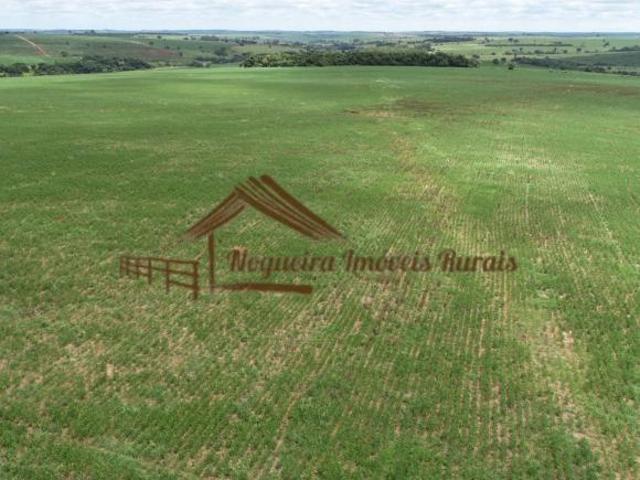 Fazenda com 226 alqueires, região de Bauru SP