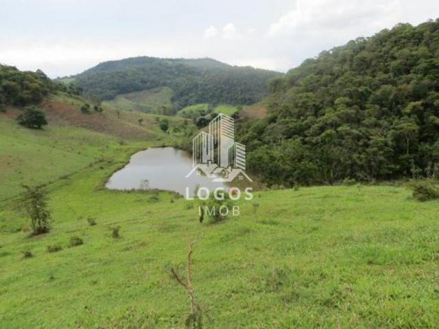 Fazenda com 230 hectares na região de São João Nepomuceno MG 03