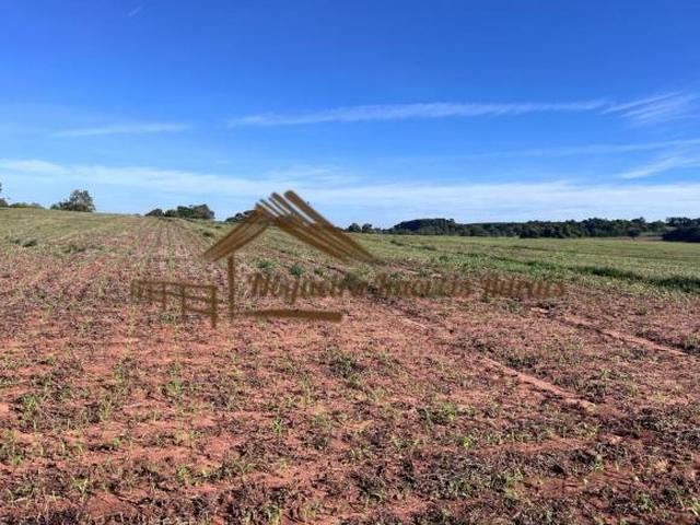 Fazenda com 240 alqueires em Avaré/SP