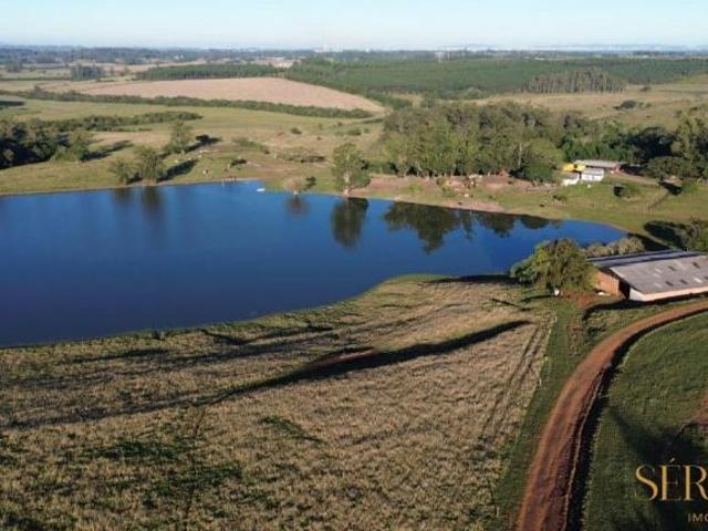 Fazenda com 244 Hectares completa com porteira fechada em Triunfo RS
