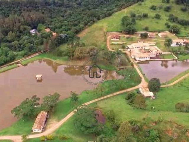 Fazenda com 280,72 hectares à venda em Amparo