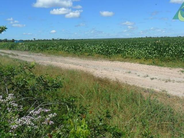Fazenda com 2 dormitórios à venda, 10000000 m² por R$ 5.000.000,00 Zona Rural Bonfinópolis de Mi