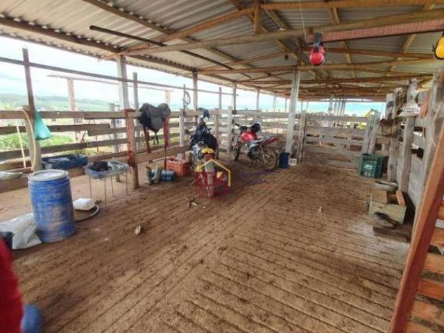 Fazenda com 2 dormitórios à venda, 1145000 m² por R$ 3.300.000,00 Rural Andrelândia/MG