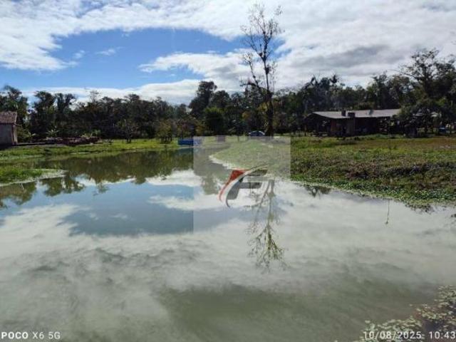 Fazenda com 2 dormitórios à venda, 1127962 m² por R$ 1.200.000,00 Zona Rural Antonina/PR