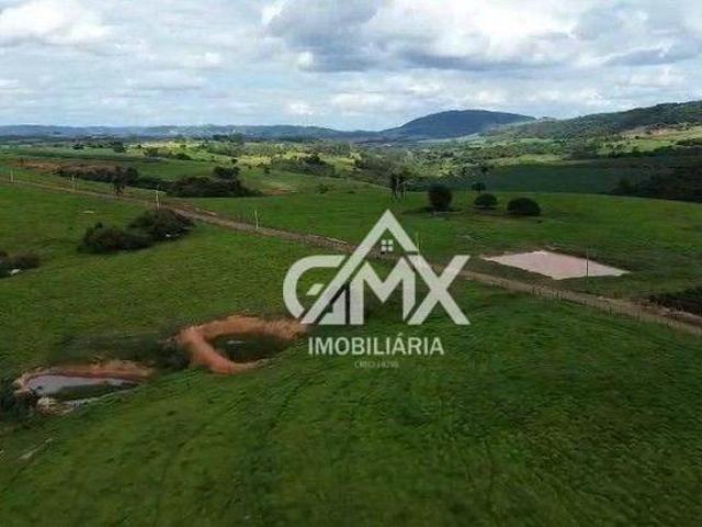 Fazenda com 2 dormitórios à venda, 60 Alqueires Paulista por R$ 15.000.000 Rural Carlópolis/PR