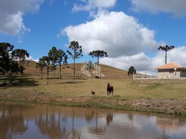 FAZENDA COM 2 DORMITÓRIOS EM SÃO FRANCISCO DE PAULA RS, VÁRZEA DO CEDRO
