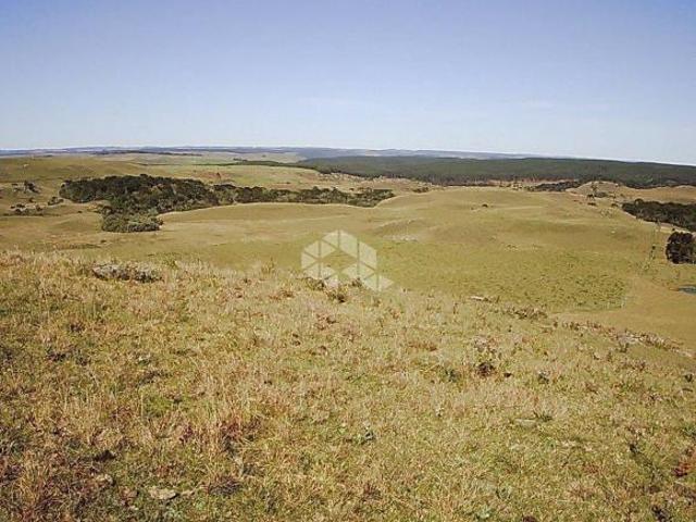 FAZENDA COM 2 DORMITÓRIOS EM SÃO FRANCISCO DE PAULA RS, VÁRZEA DO CEDRO