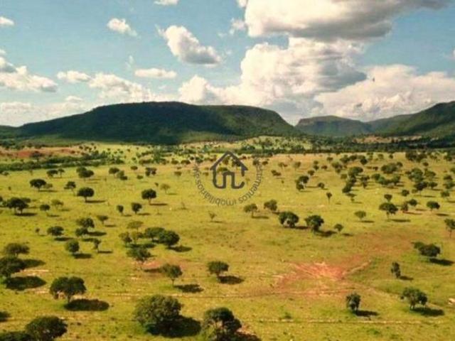 Fazenda com 2.000 hectares venda em João Pinheiro em Minas Gerais