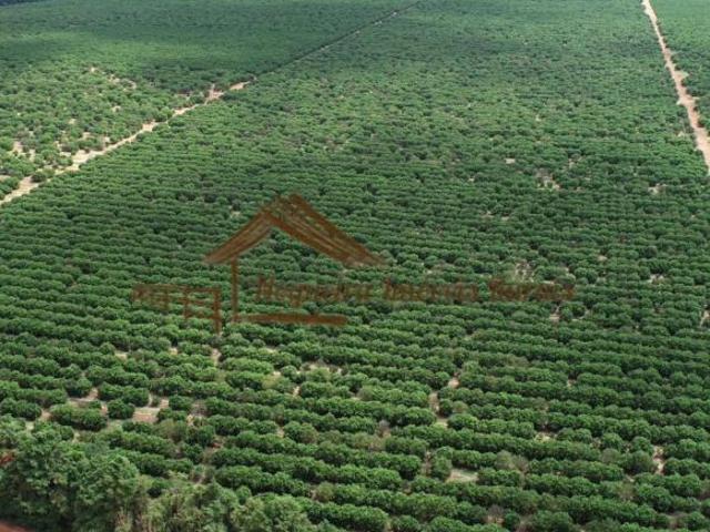 Fazenda com 300 alqueires na região de Avaré SP